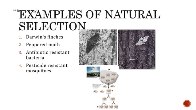 naturalselection2016-160210163545 (1).pptx