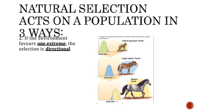 naturalselection2016-160210163545 (1).pptx