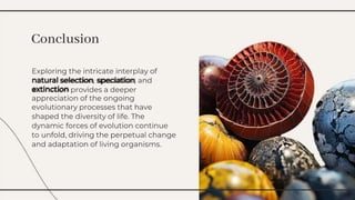 NATURAL SELECTION AND SPECIATION WIP.pptx