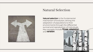 NATURAL SELECTION AND SPECIATION WIP.pptx