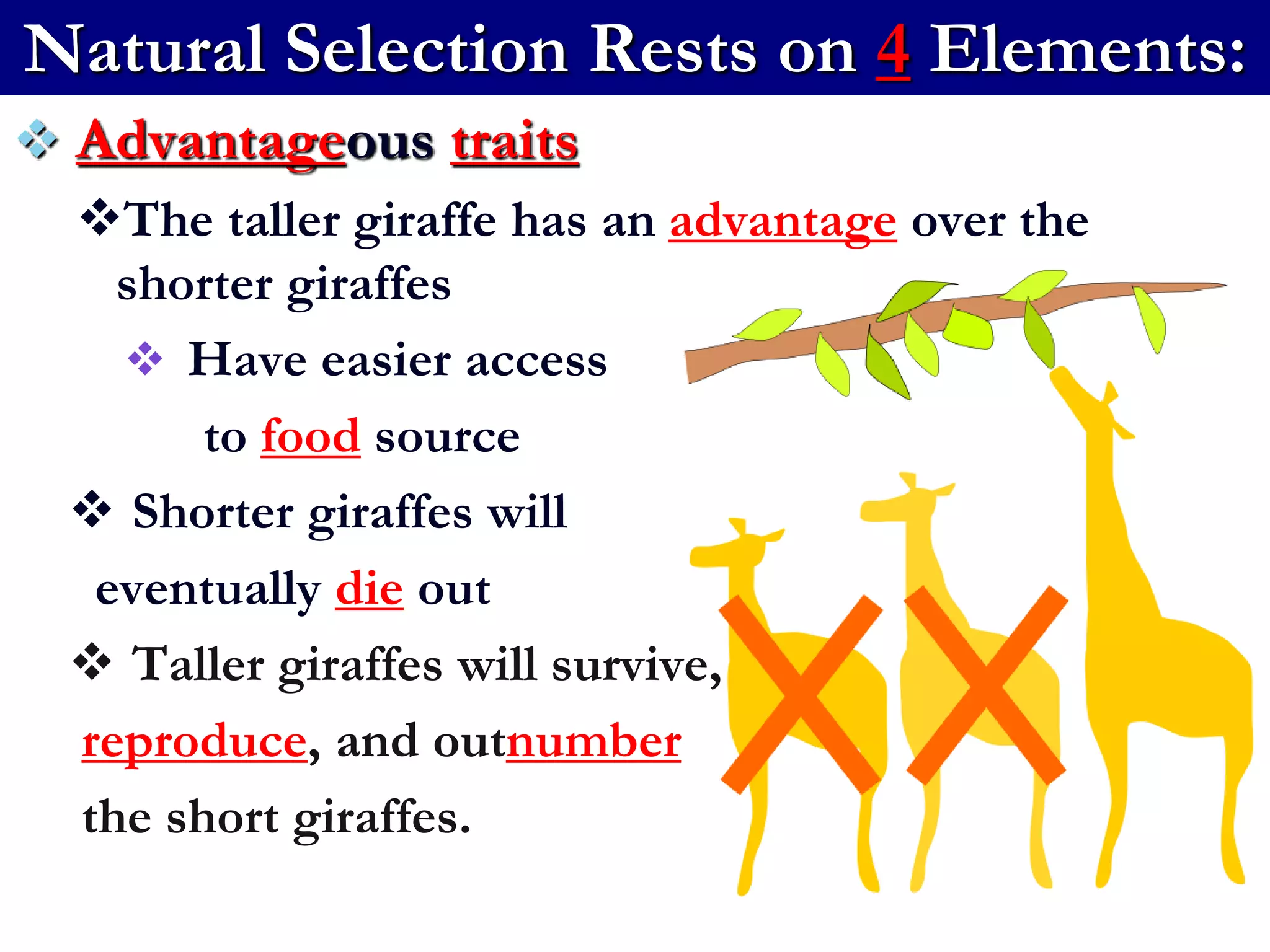 Natural Selection Darwin and Adaptations.ppt | Biological Sciences ...
