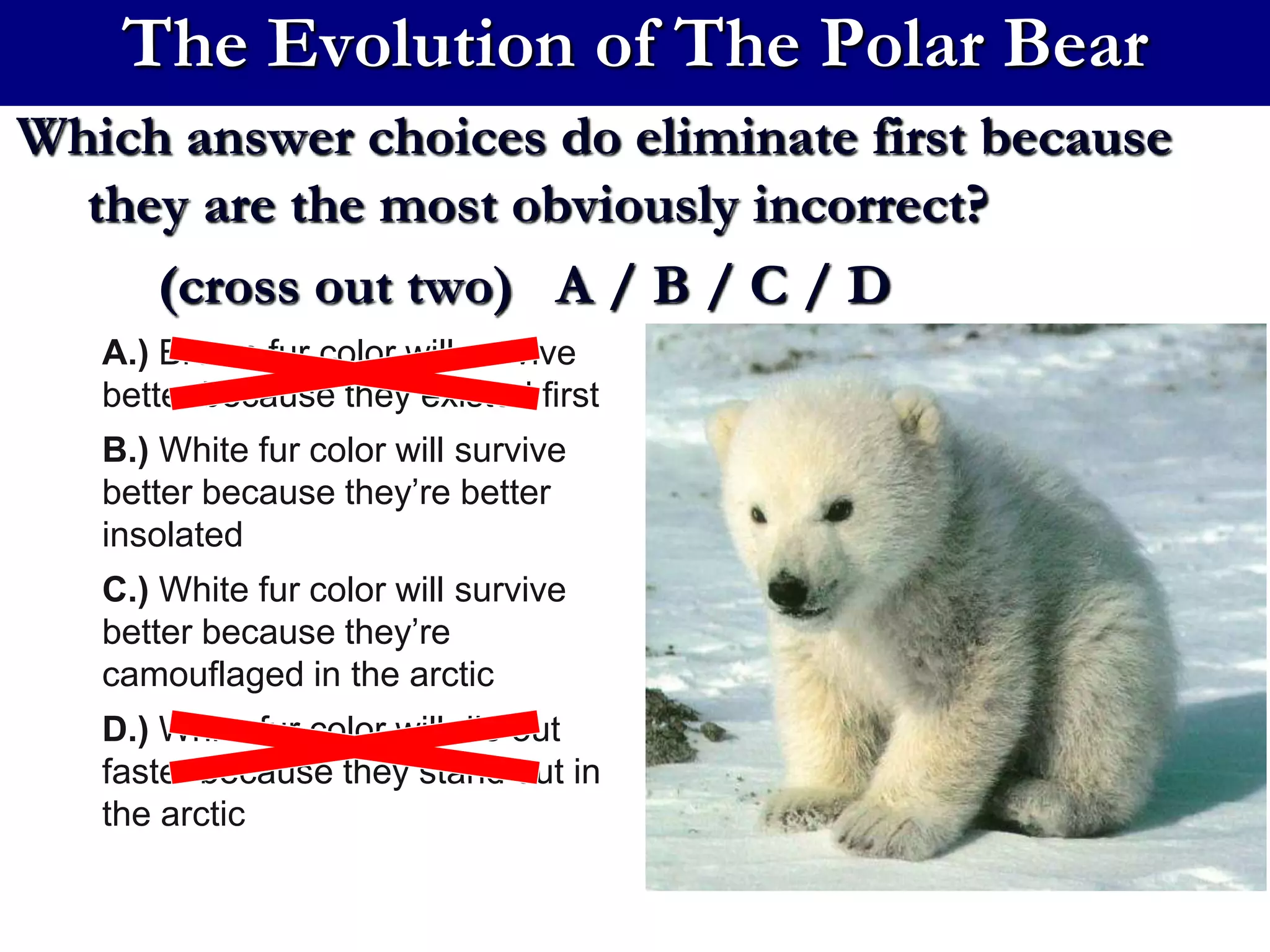 Natural Selection Darwin and Adaptations.ppt