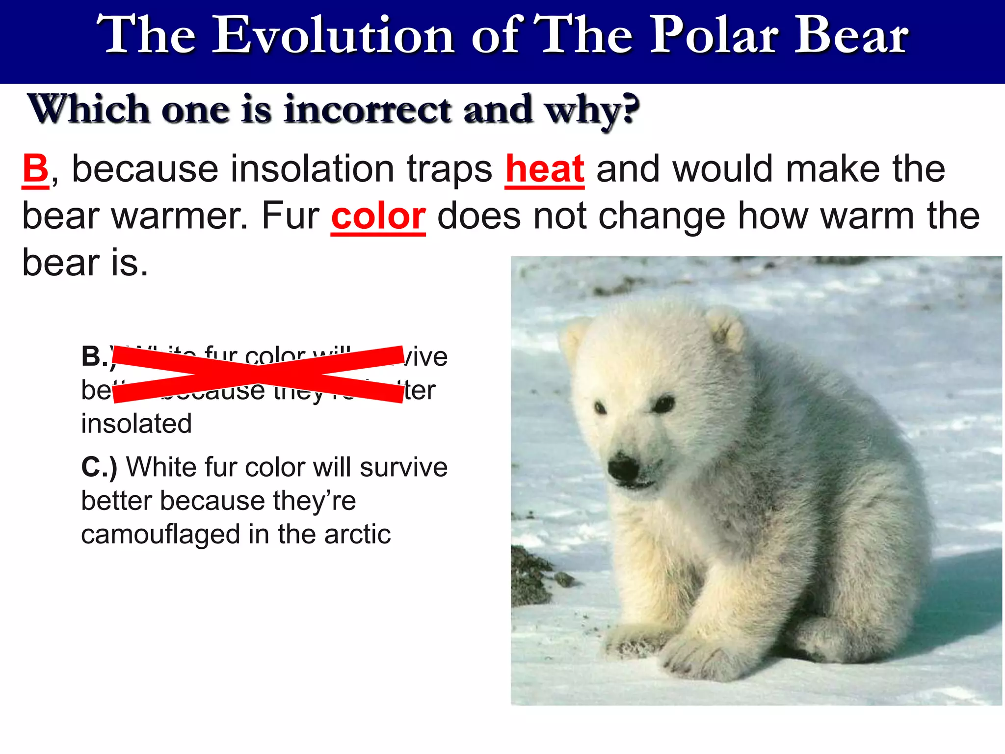 Natural Selection Darwin and Adaptations.ppt | Biological Sciences ...