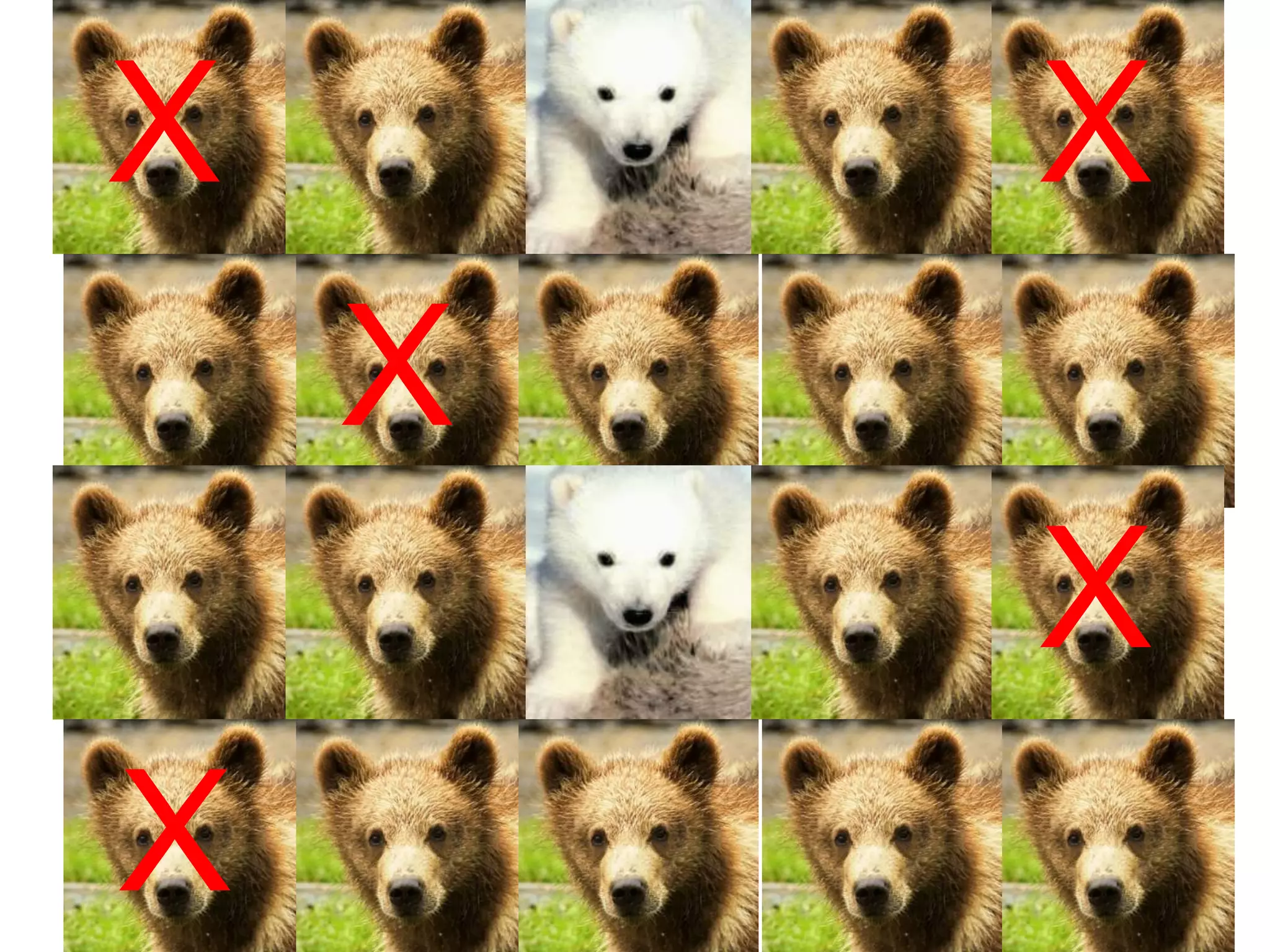 Natural Selection Darwin and Adaptations.ppt | Biological Sciences ...