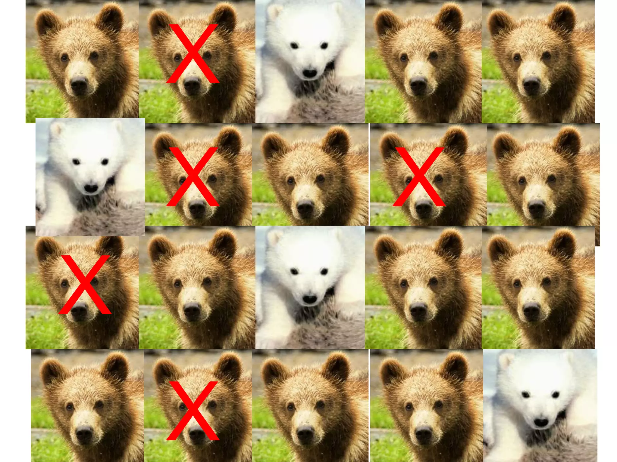 Natural Selection Darwin and Adaptations.ppt | Biological Sciences ...