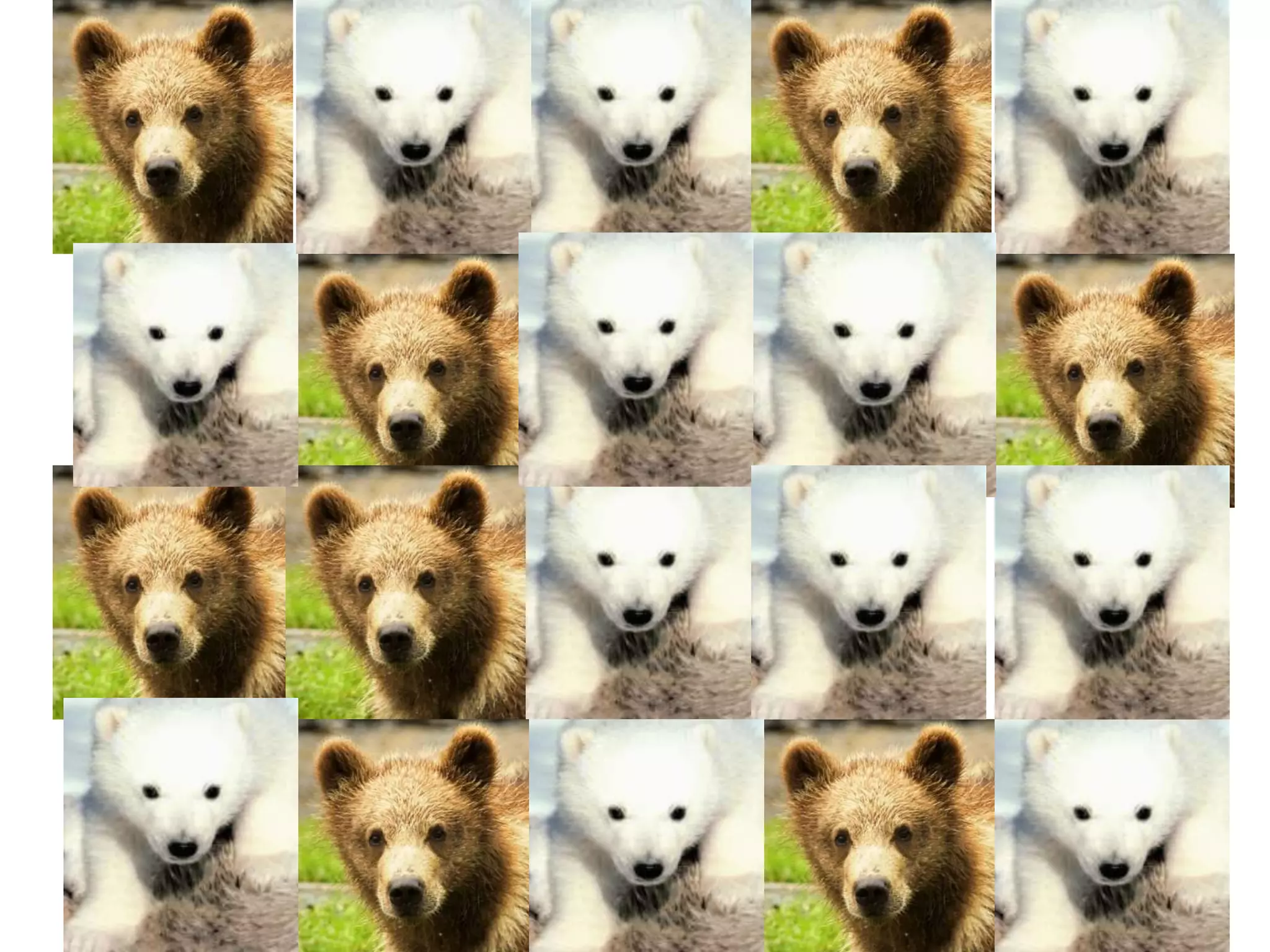 Natural Selection Darwin and Adaptations.ppt | Biological Sciences ...