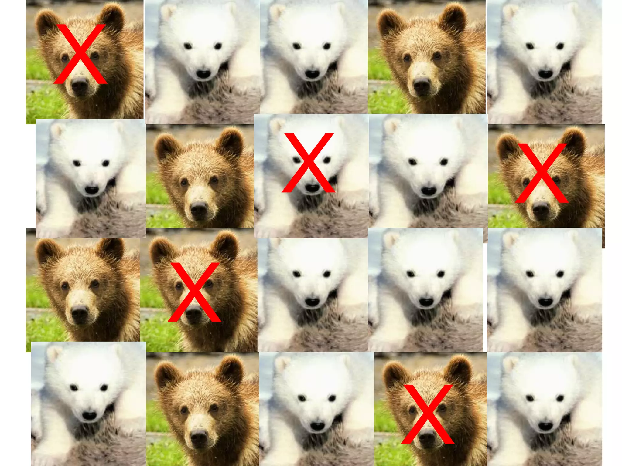 Natural Selection Darwin and Adaptations.ppt | Biological Sciences ...