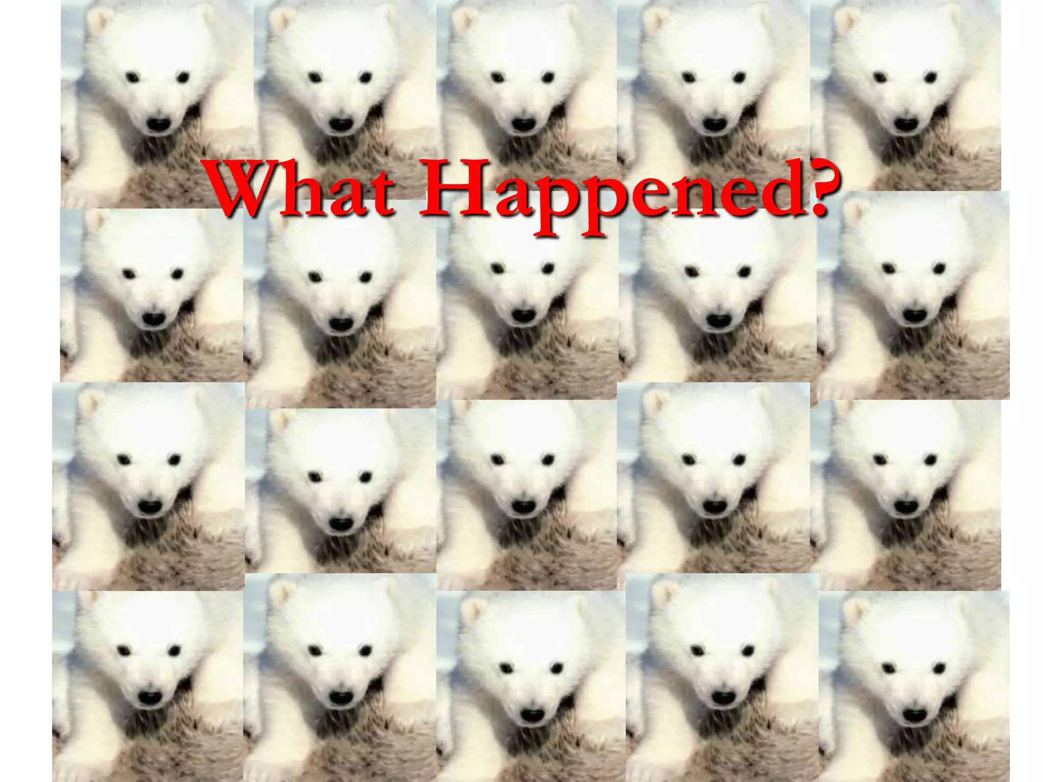 Natural Selection Darwin and Adaptations.ppt | Biological Sciences ...