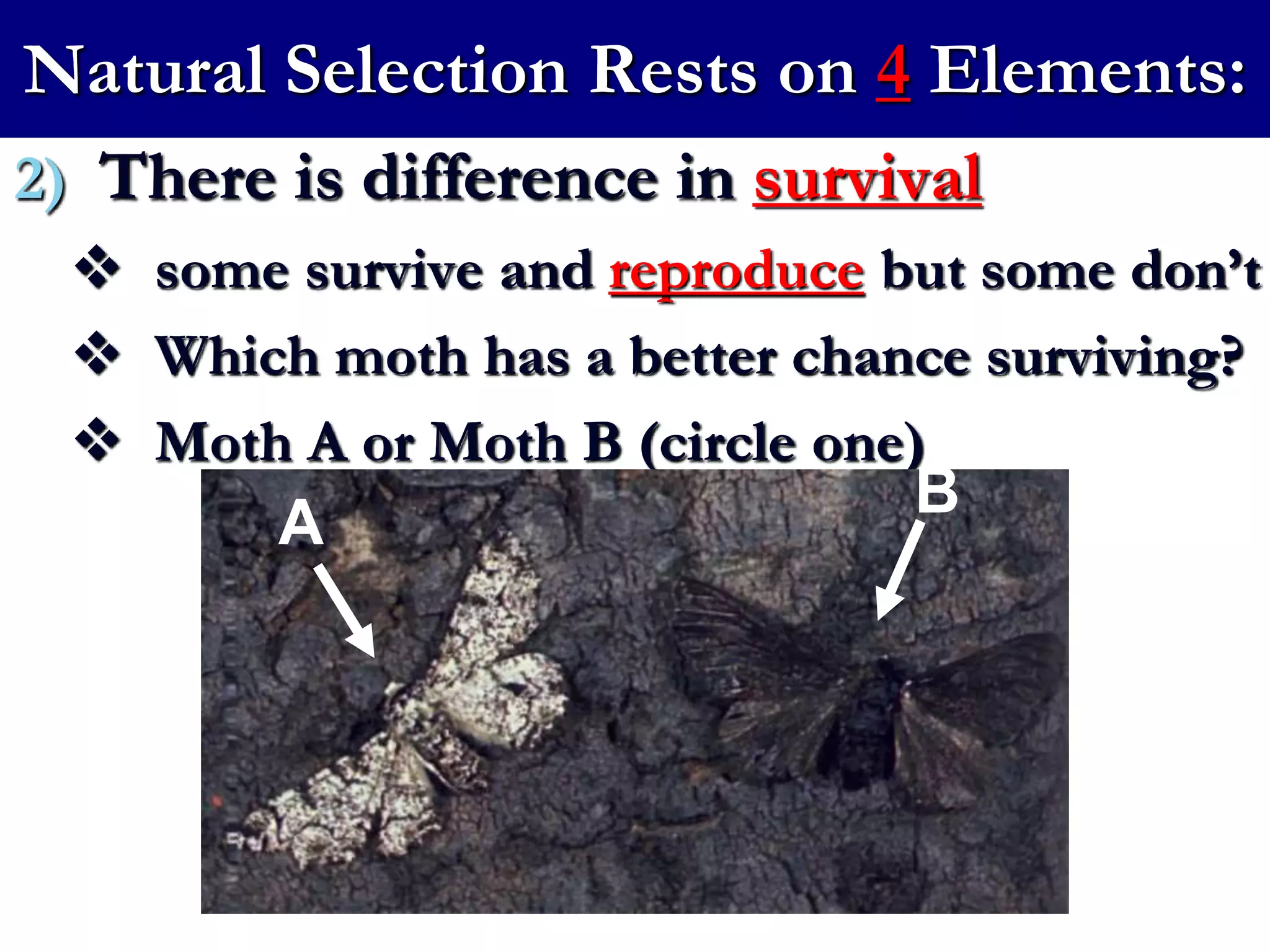 Natural Selection Darwin and Adaptations.ppt | Biological Sciences ...