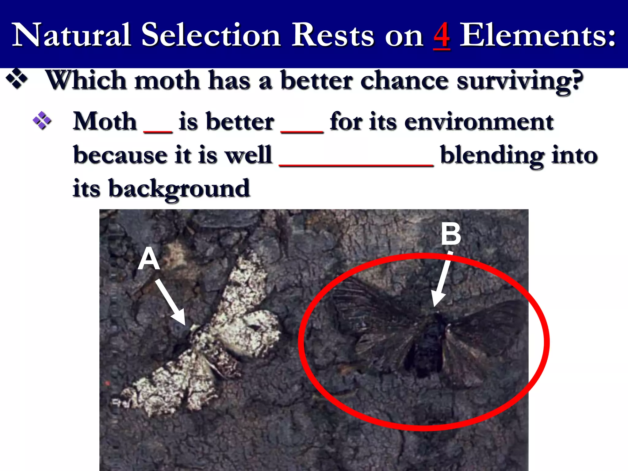 Natural Selection Darwin and Adaptations.ppt | Biological Sciences ...