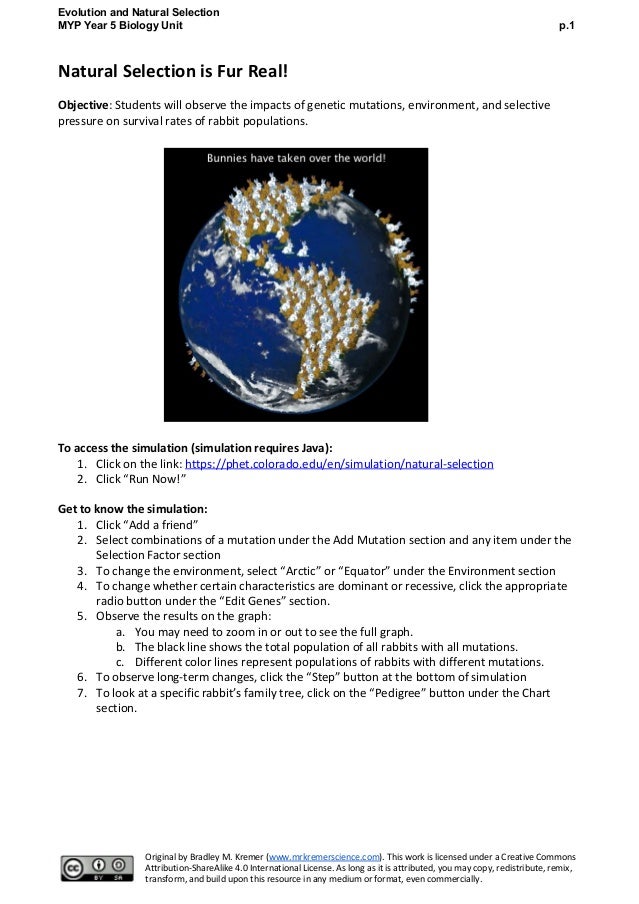 Natural Selection Simulation At Phet Worksheet Answers natural-selection-simulation-at-phet-worksheet-answers