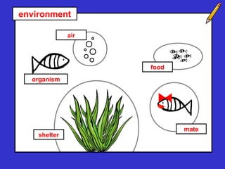 Natural selection notes | PPT