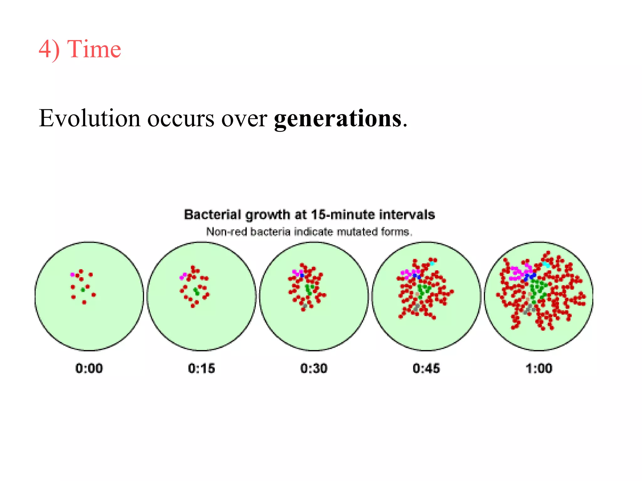 Theory of evolution by natural selection | PPTX | Biological Sciences ...