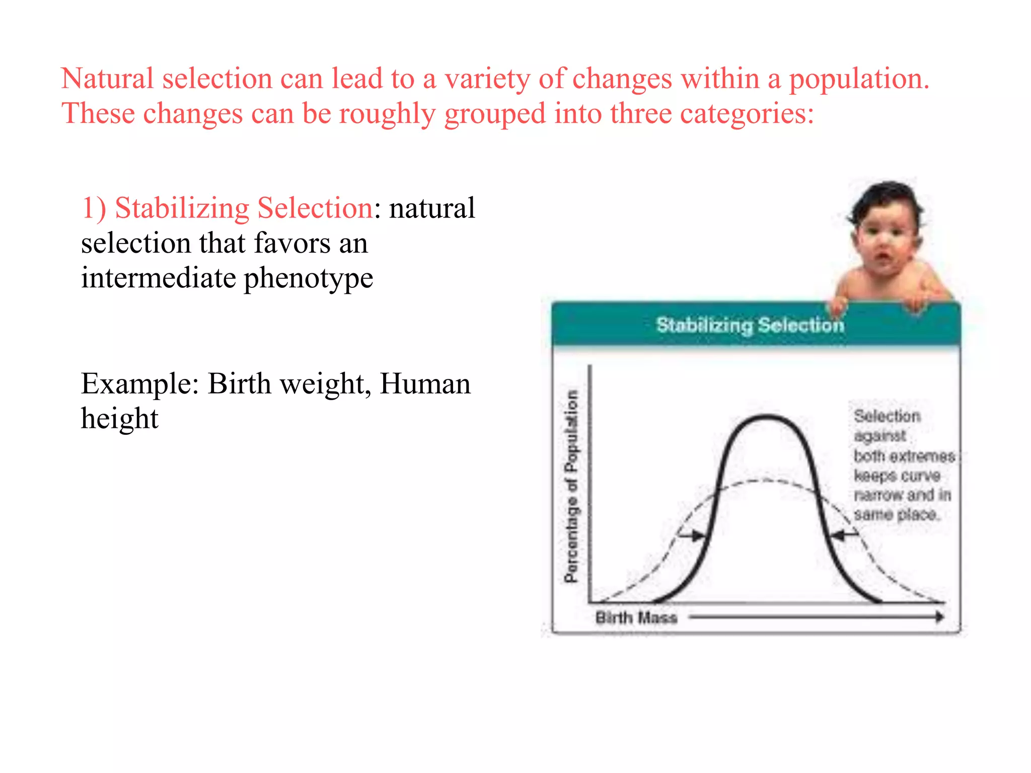 Theory of evolution by natural selection | PPTX | Biological Sciences ...