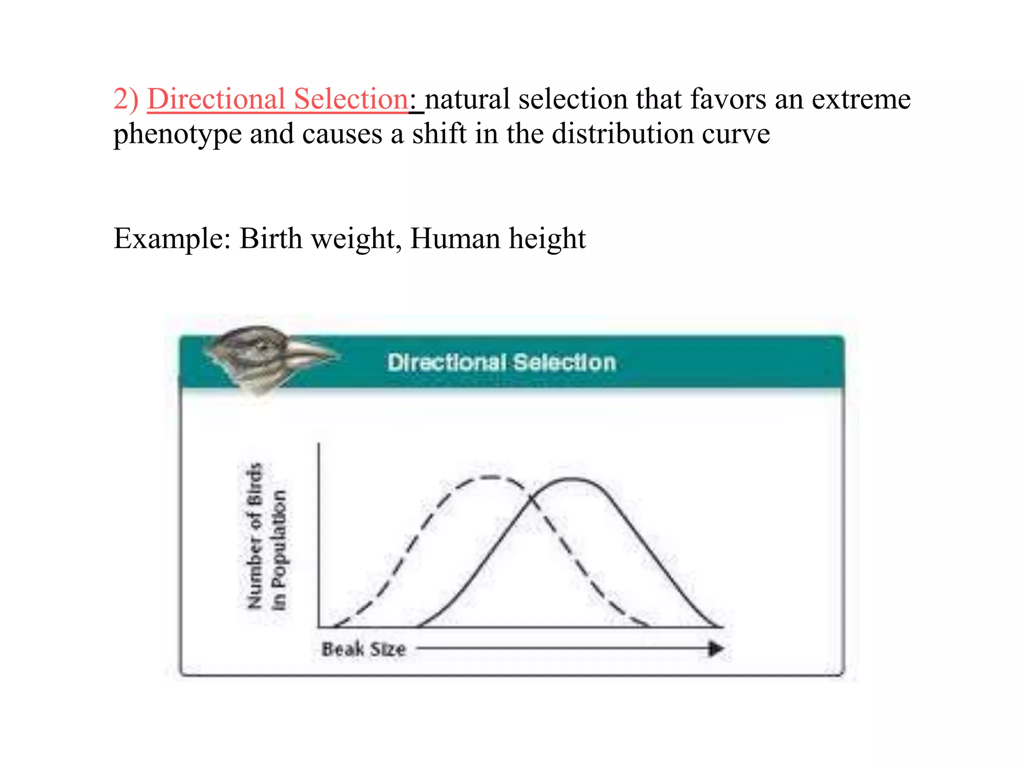 Theory of evolution by natural selection | PPTX | Biological Sciences ...