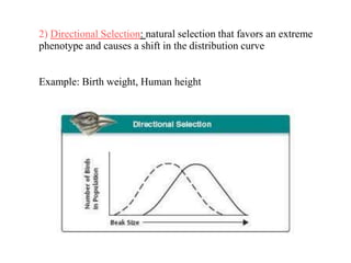 Theory of evolution by natural selection | PPTX