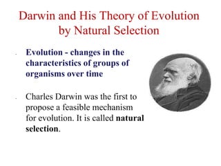 Theory Of Evolution By Natural Selection