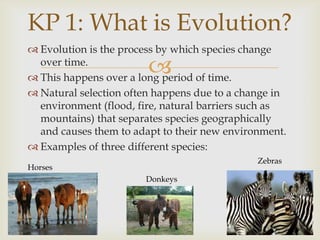 Natural selection ppt notes | PPTX