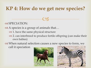 Natural selection ppt notes | PPT