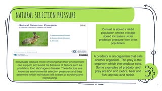 Natural selection pressure | PPT