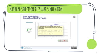 Natural selection pressure | PPT