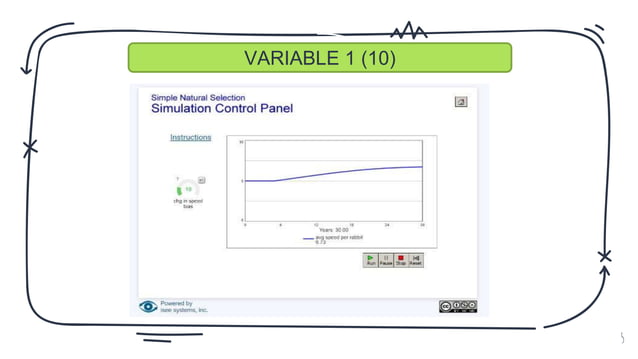 Natural selection pressure | PPT