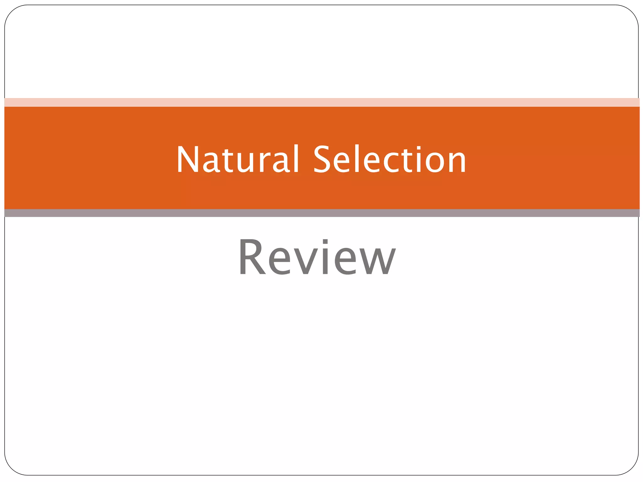Natural selection review ppt | KEY
