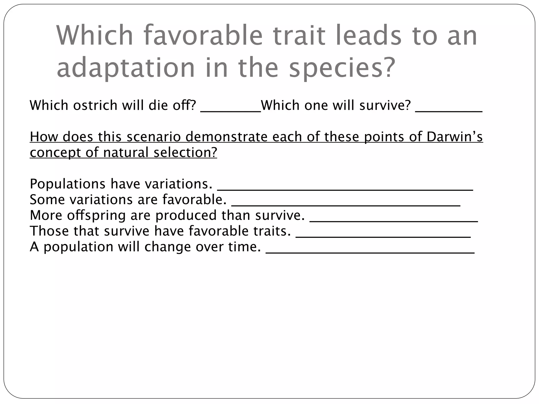 Natural selection review ppt | KEY