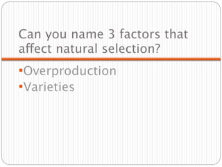 Natural selection review ppt | KEY