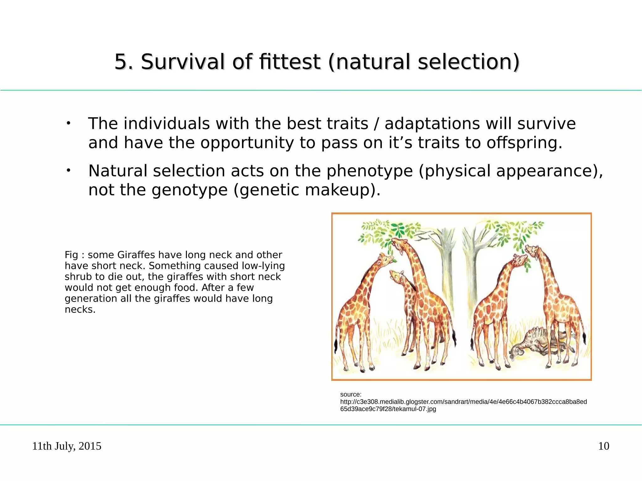 Natural selection | PDF