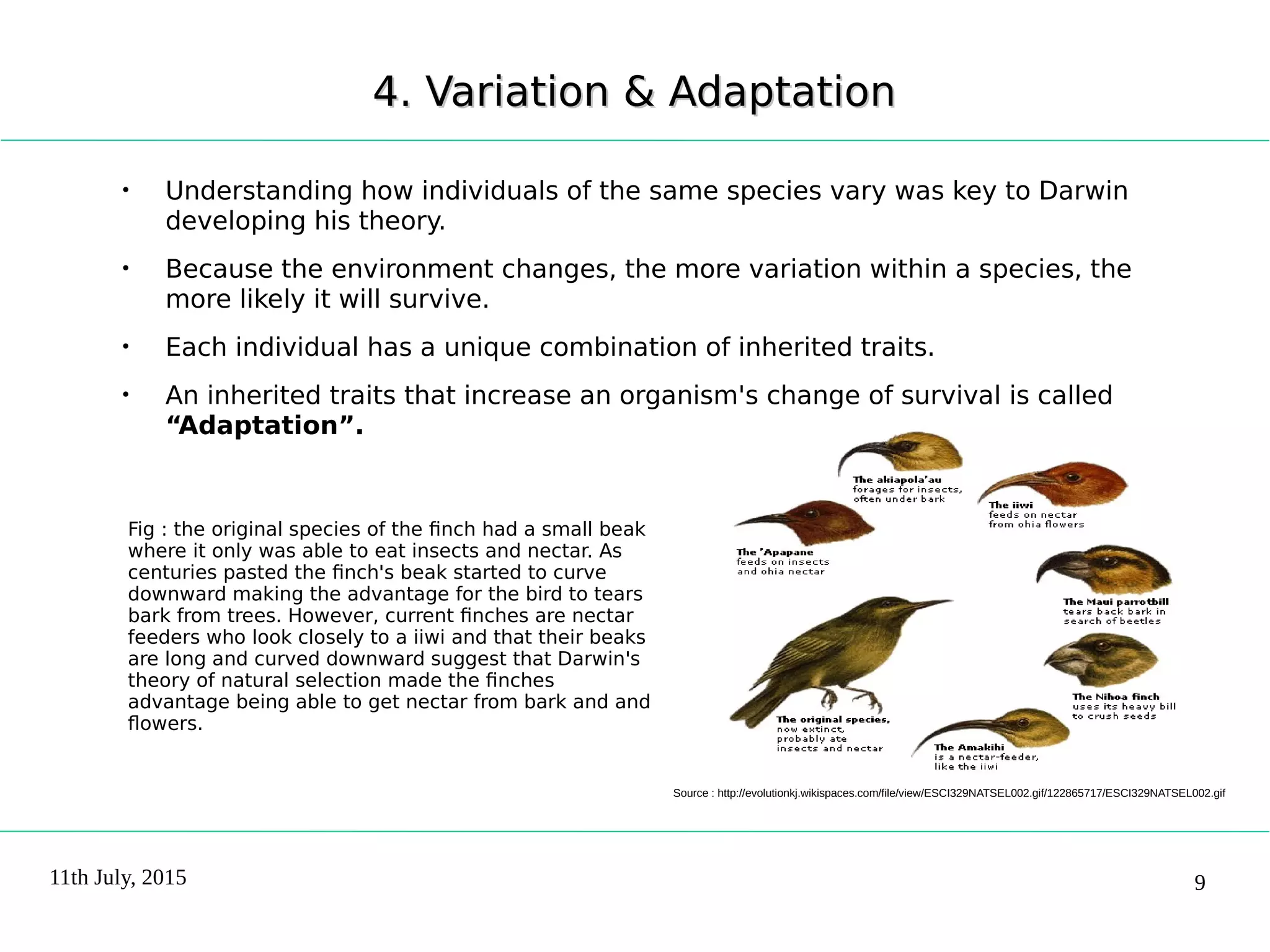 Natural selection | PDF