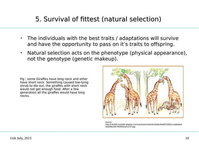 Natural selection | PDF | Geography | Science
