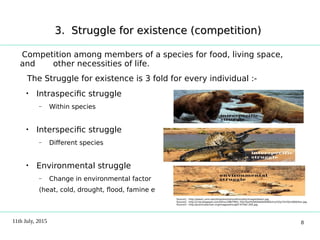 Natural selection | PDF