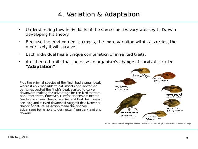Natural Selection Adaptation