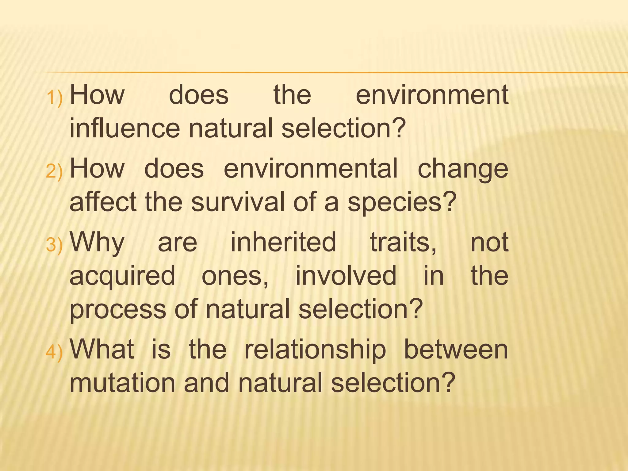 Natural selection tp | PPT