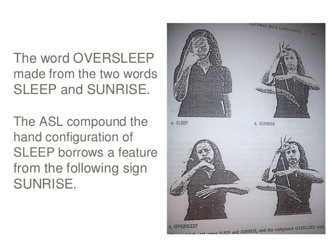 Natural sign languages revision ppt
