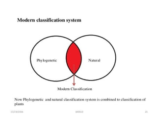 Natural system of classification (botany).pptx
