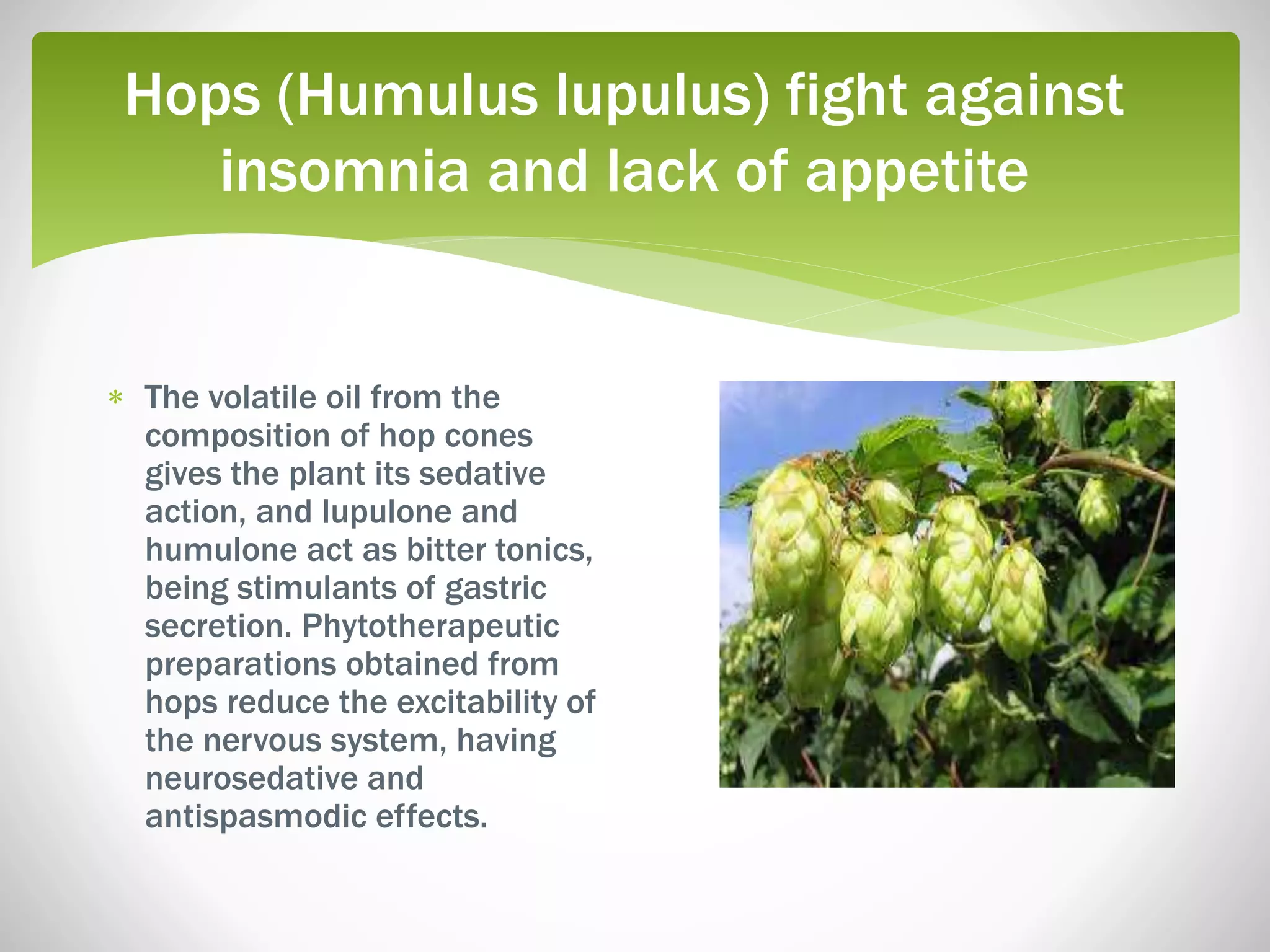 Natural therapies for the treatment of depression.pptx