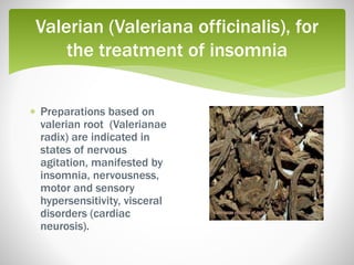 Natural therapies for the treatment of depression.pptx