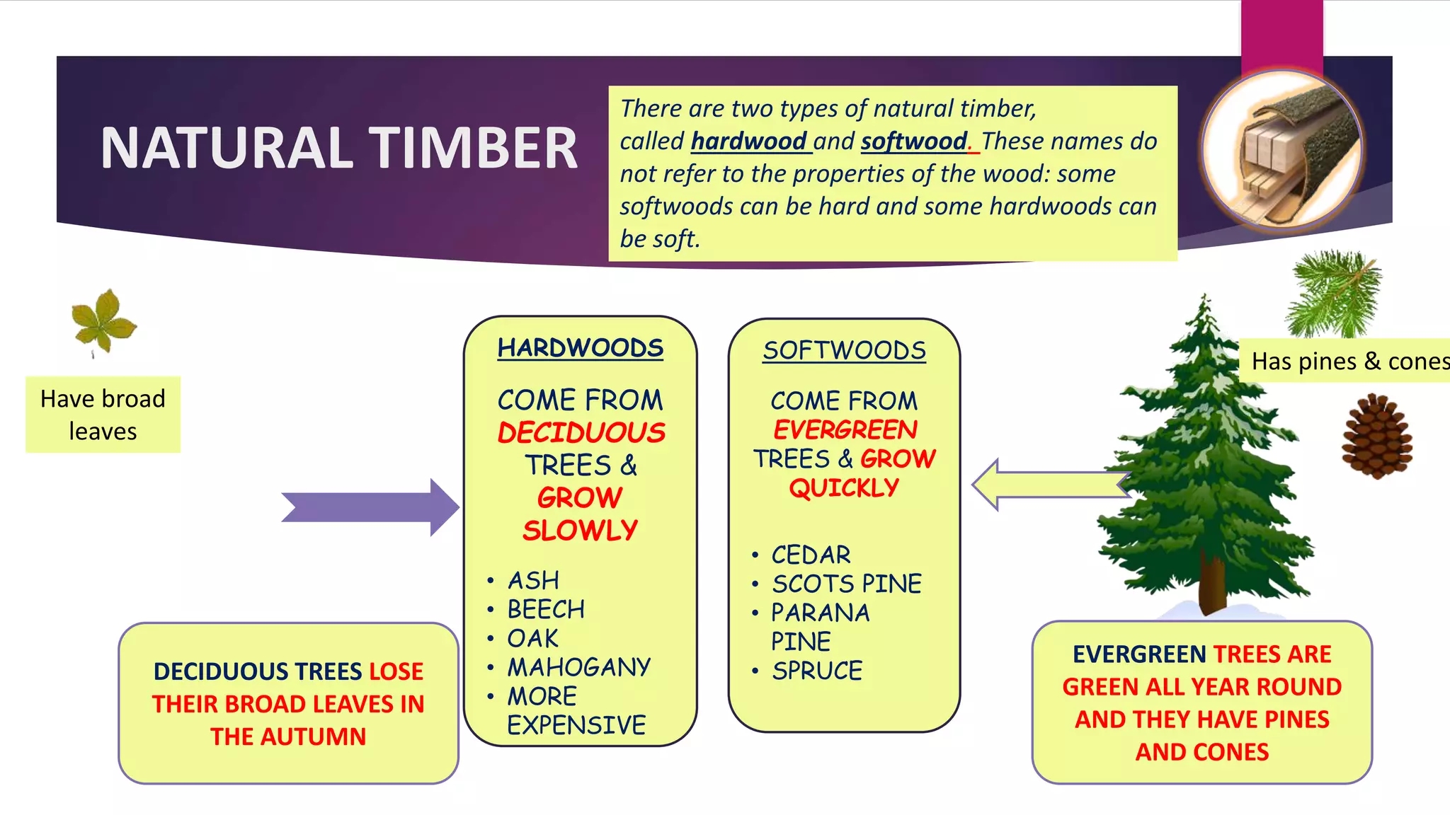 NATURAL TIMBERS.pptx