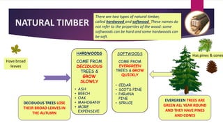 NATURAL TIMBERS.pptx