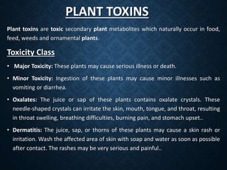 Natural Toxicants Pharmacognosy Advance.pptx
