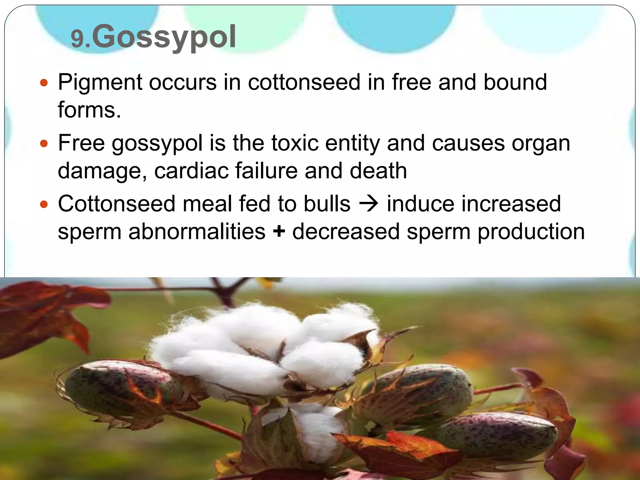 Natural toxic substances in food | PPTX