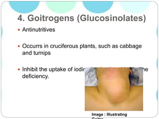 Natural toxic substances in food | PPTX