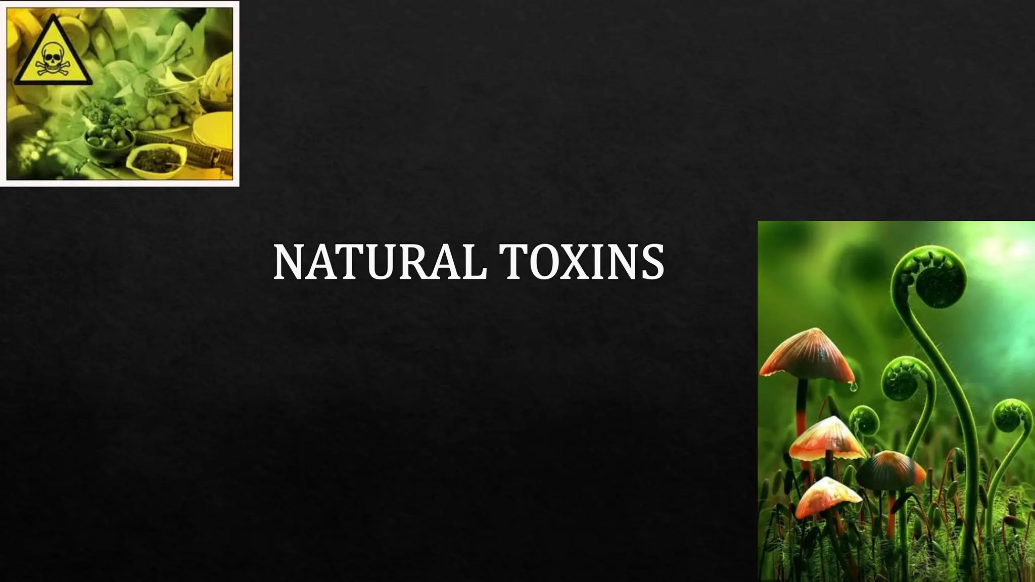 NATURAL TOXINS.pptx