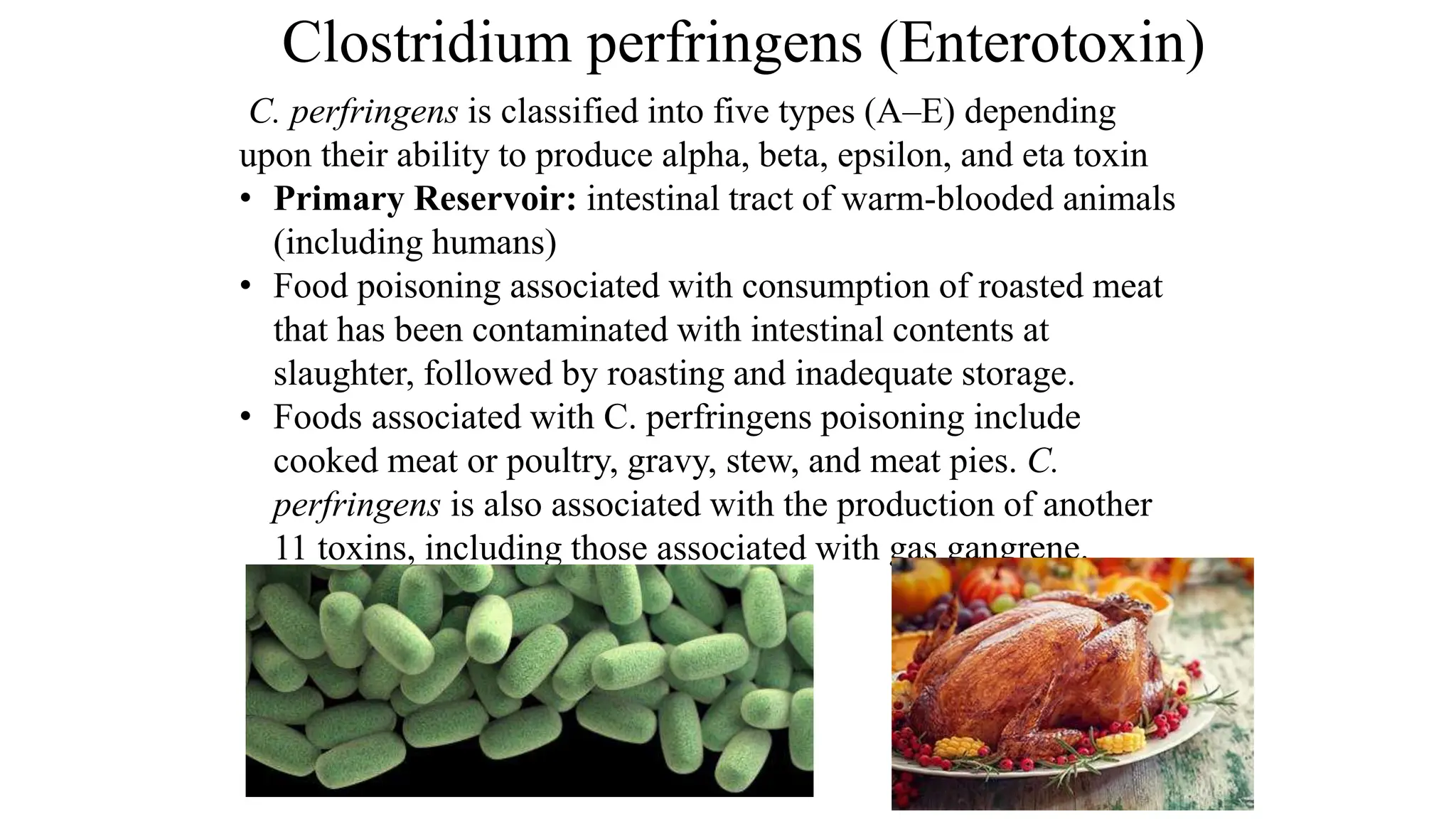 NATURAL TOXINS.pptx