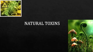 NATURAL TOXINS.pptx