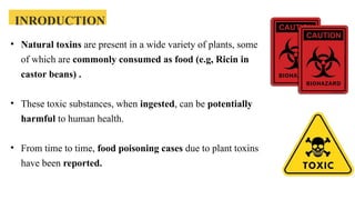 Natural Toxins In Food Plants (Phytotoxins).pptx