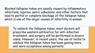 Natural Treatment for Blocked Fallopian Tubes: Herbs to Try | PPTX