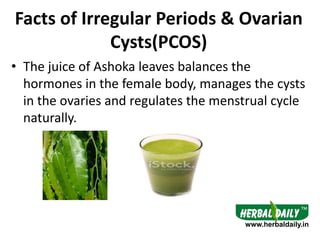 Natural treatment for irregular periods,overian cysts & pcos | PPTX